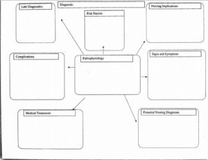 Free Printable Nursing Study Template - Printable Templates Free