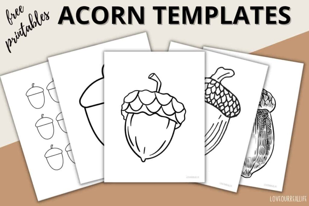 Free Printable Printable Acorn Template – Printable Templates Free