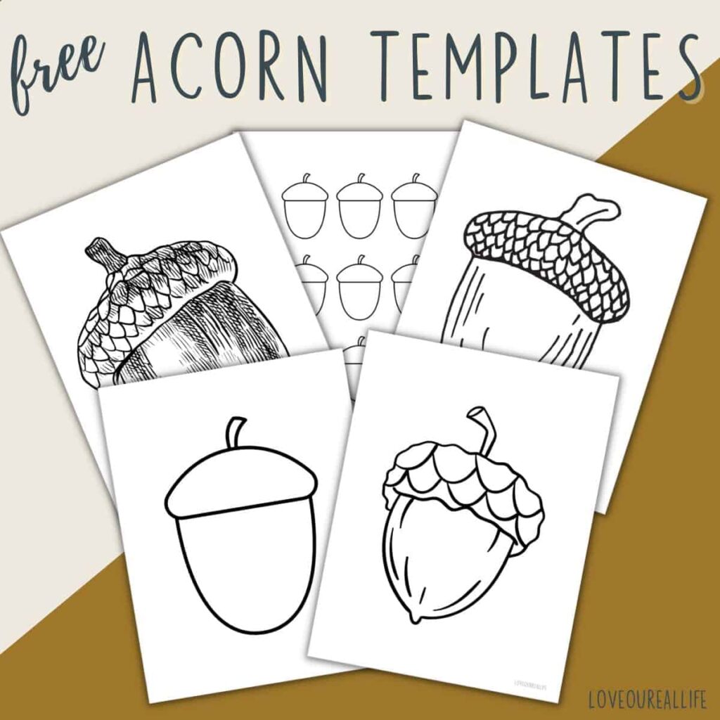 Free Printable Printable Acorn Template – Printable Templates Free