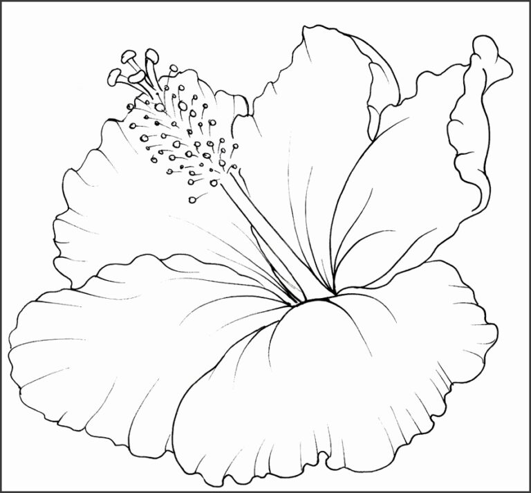 Free Printable Hibiscus Flower Template - Printable Templates Free
